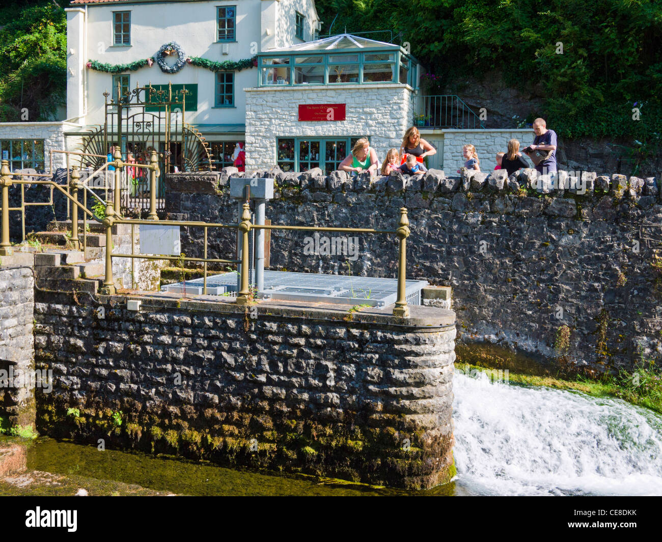 People looking into the the Cheddar Yeo weir and wishing pool at ...