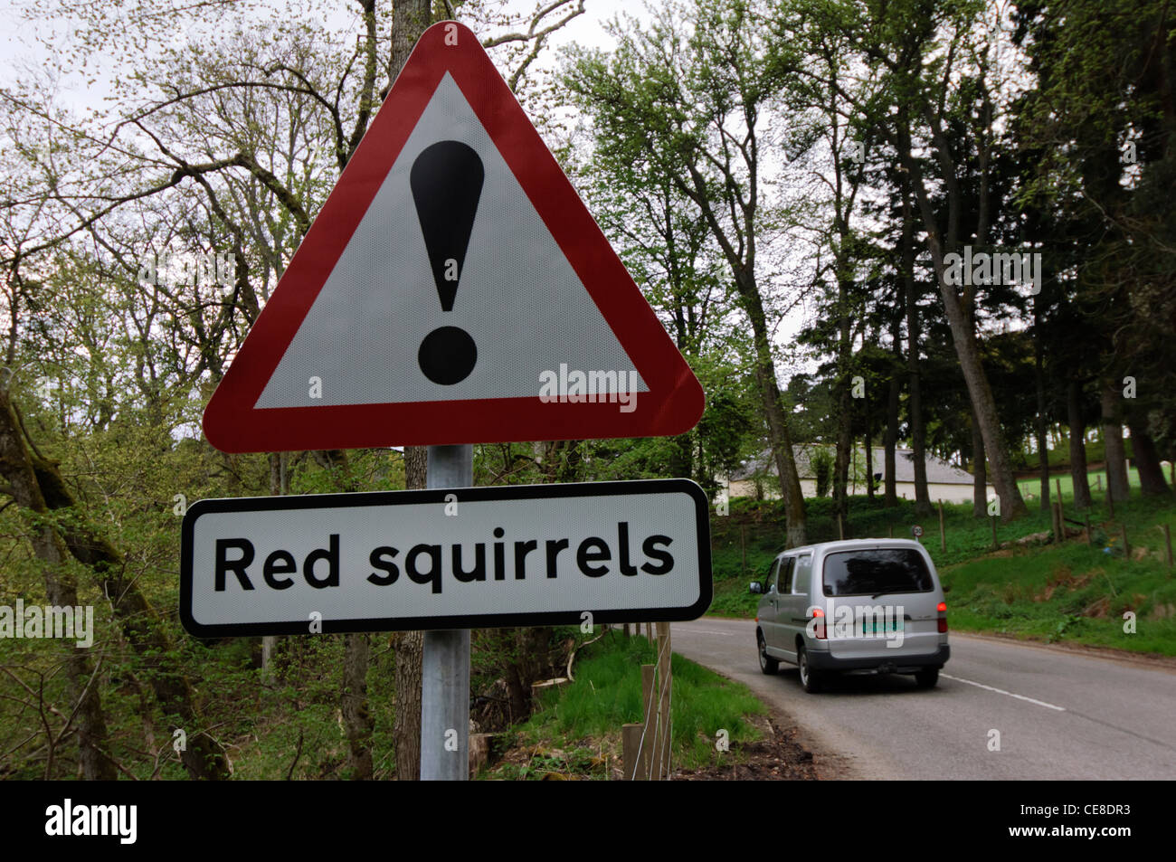 Red Squirrels warning signage by road at Strathdon Stock Photo - Alamy