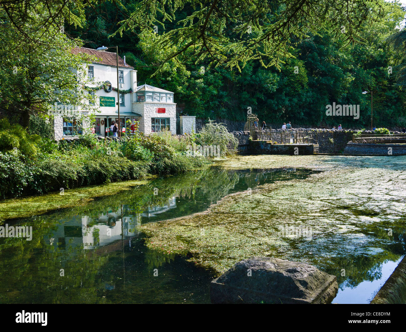 The mill pond at Cheddar Gorge, Cheddar, England Stock Photo - Alamy
