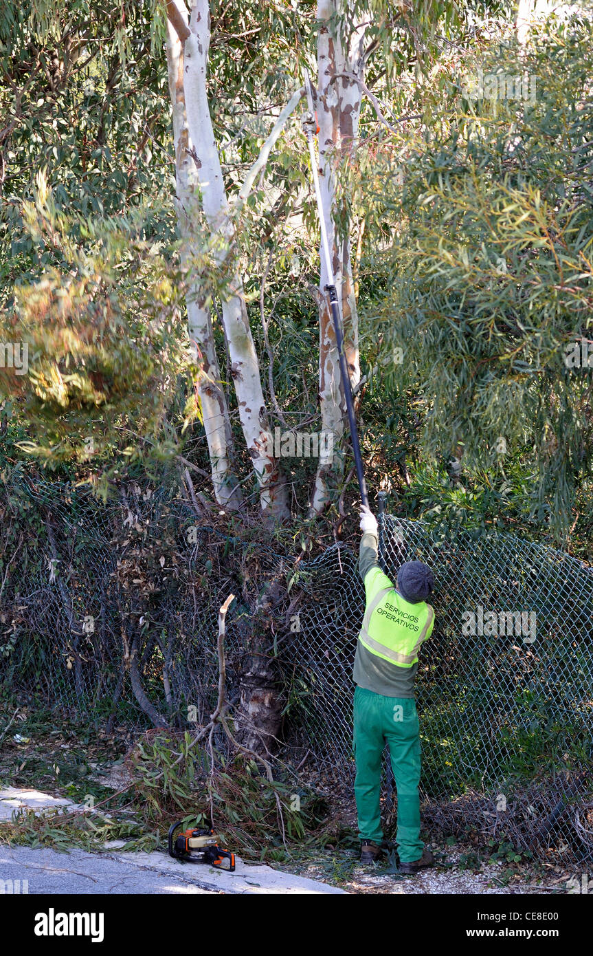 Hedge cutting workman, Calypso, Mijas Costa, Malaga Province, Costa del ...