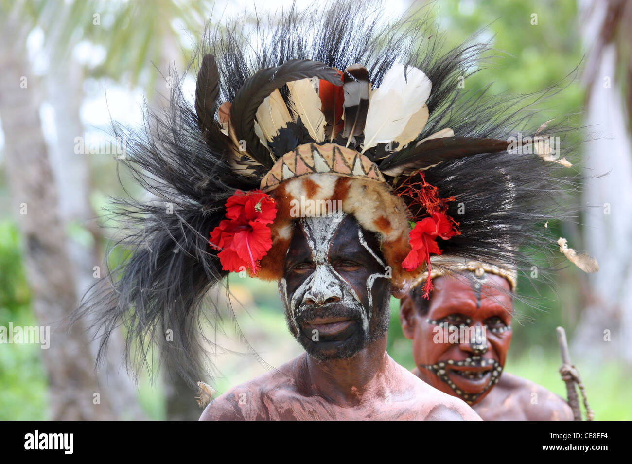 papua new guinea cannibal tribe