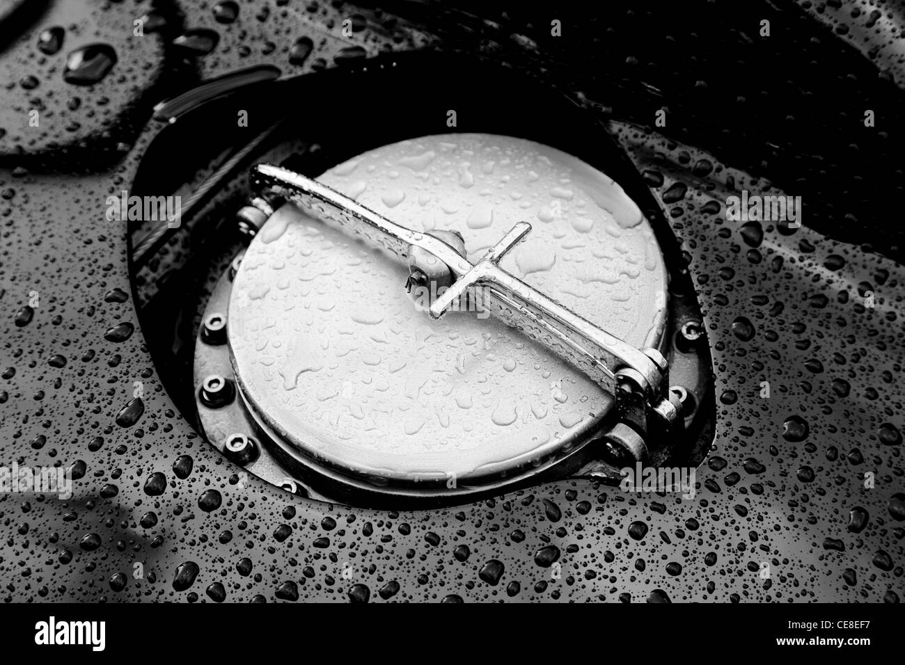 Covered in silver Black and White Stock Photos & Images - Alamy