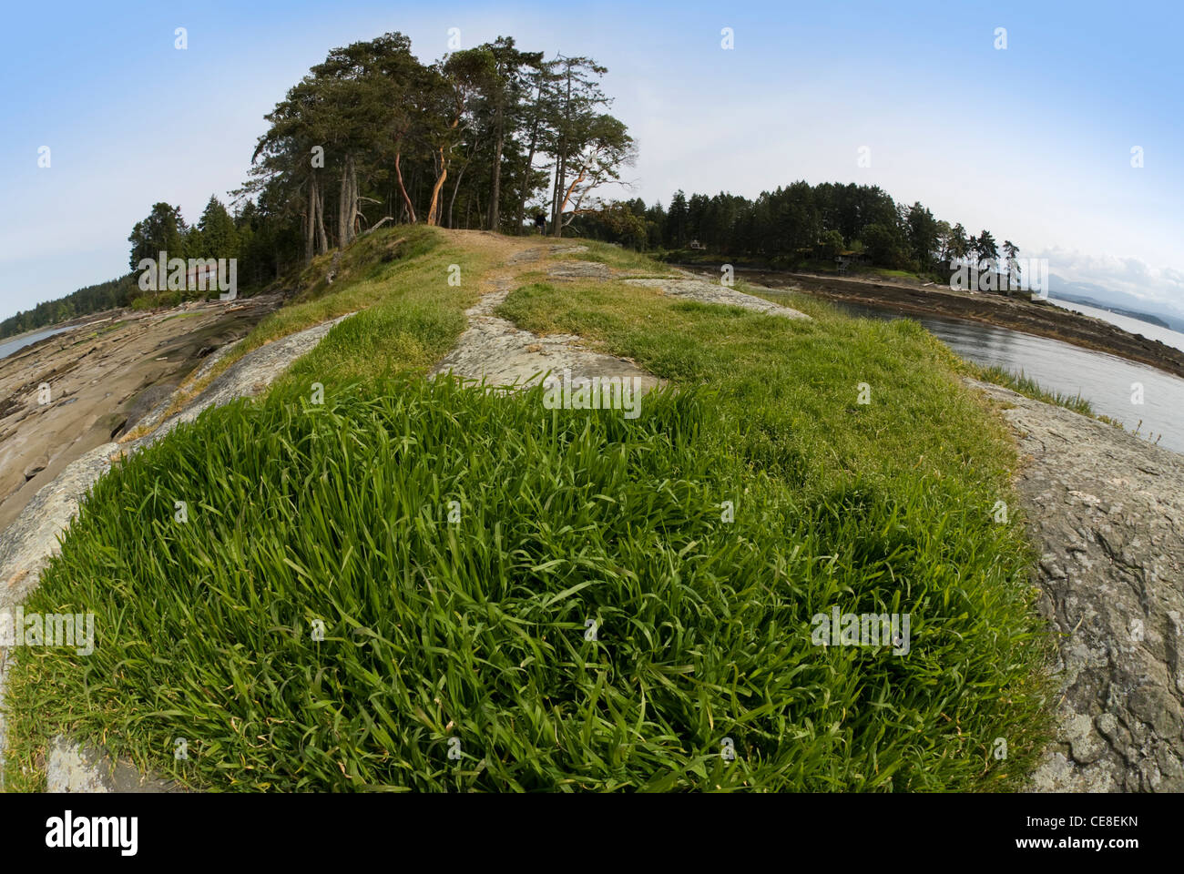 Stone shore in Gabriola Island Stock Photo - Alamy