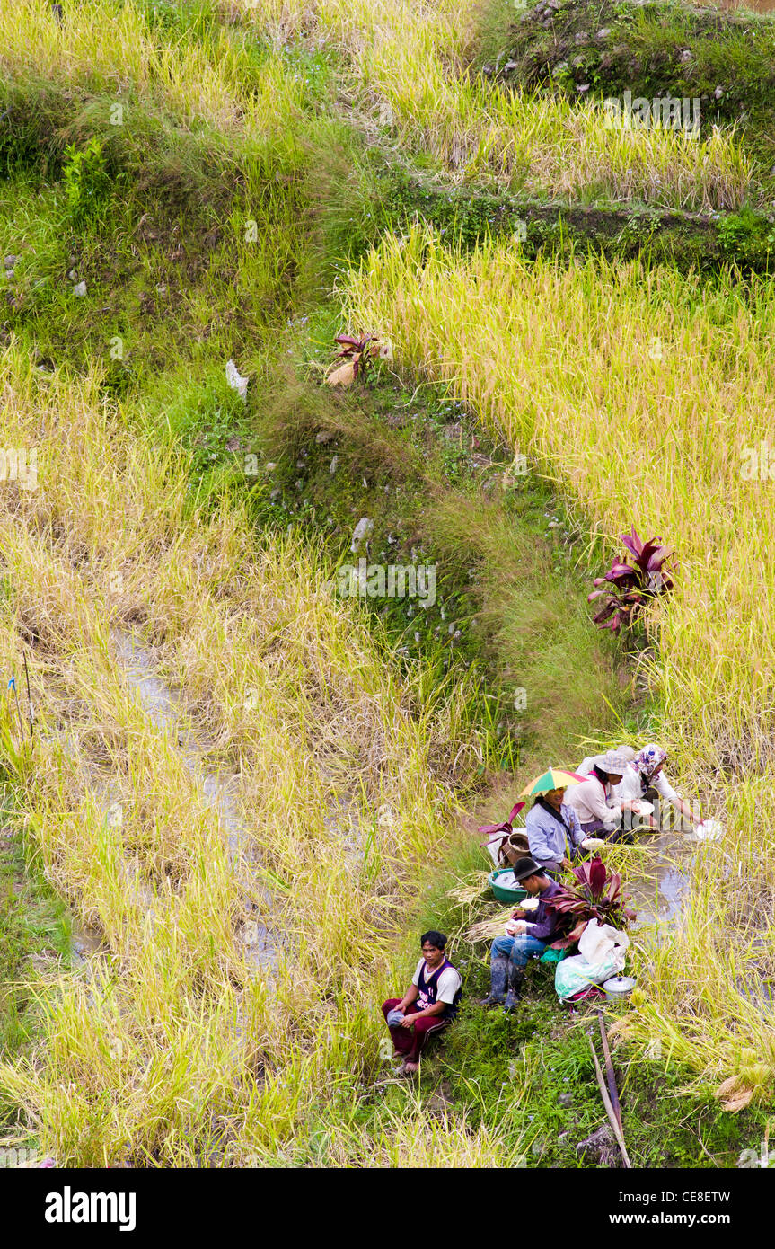 Farmer taking a break hi-res stock photography and images - Alamy