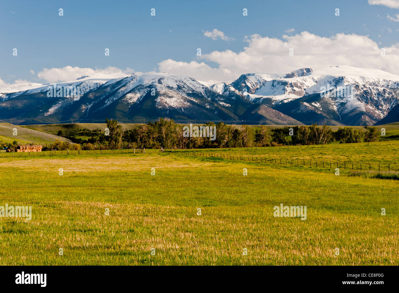 Beartooth mountains hi-res stock photography and images - Alamy