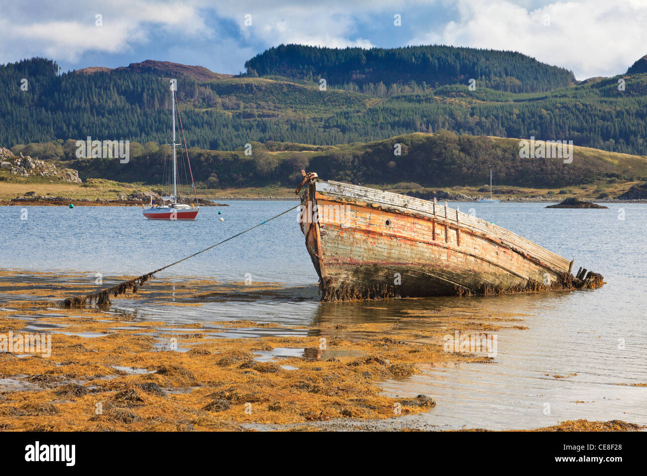 Decaying wooden ship Stock Photo - Alamy
