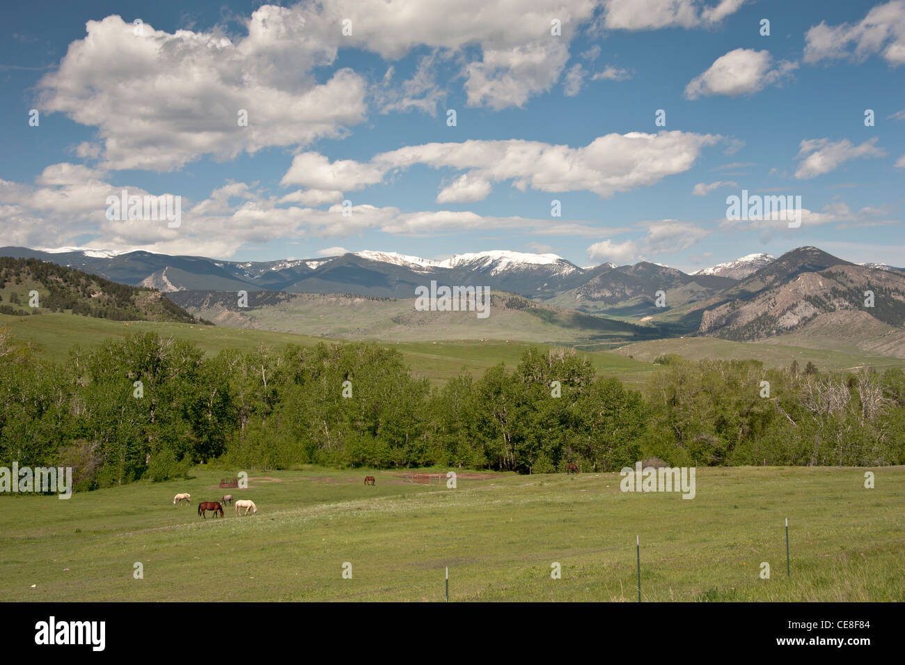 Beartooth mountains hi-res stock photography and images - Alamy