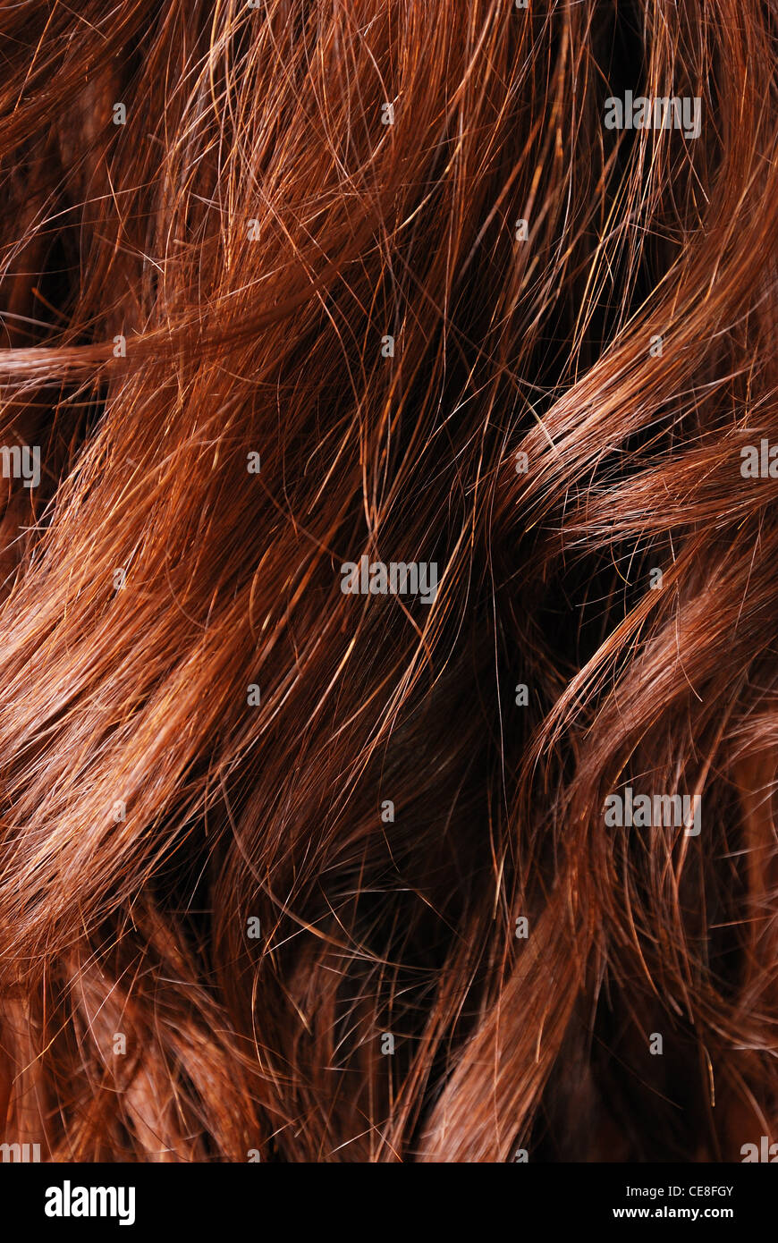 Human hair macro hi-res stock photography and images - Alamy