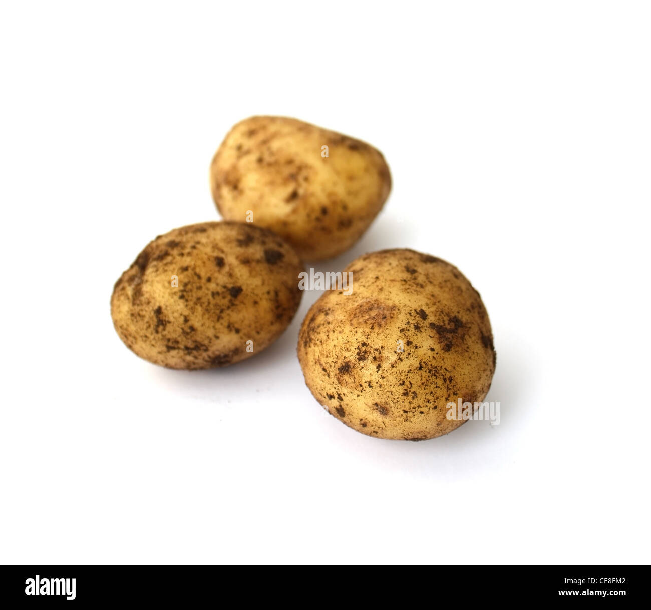 Dirty potatoes hi-res stock photography and images - Alamy