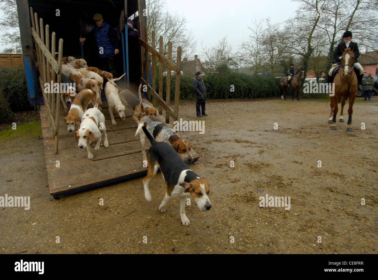 Thornham Magna, Suffolk. Members of the Suffolk Hunt on a Drag Hunt ...