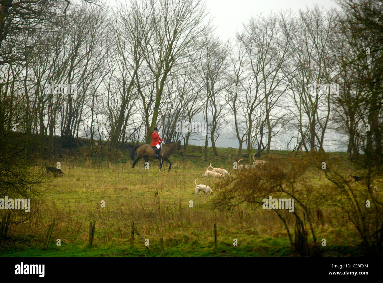 Thornham Magna, Suffolk. Members of the Suffolk Hunt on a Drag Hunt ...