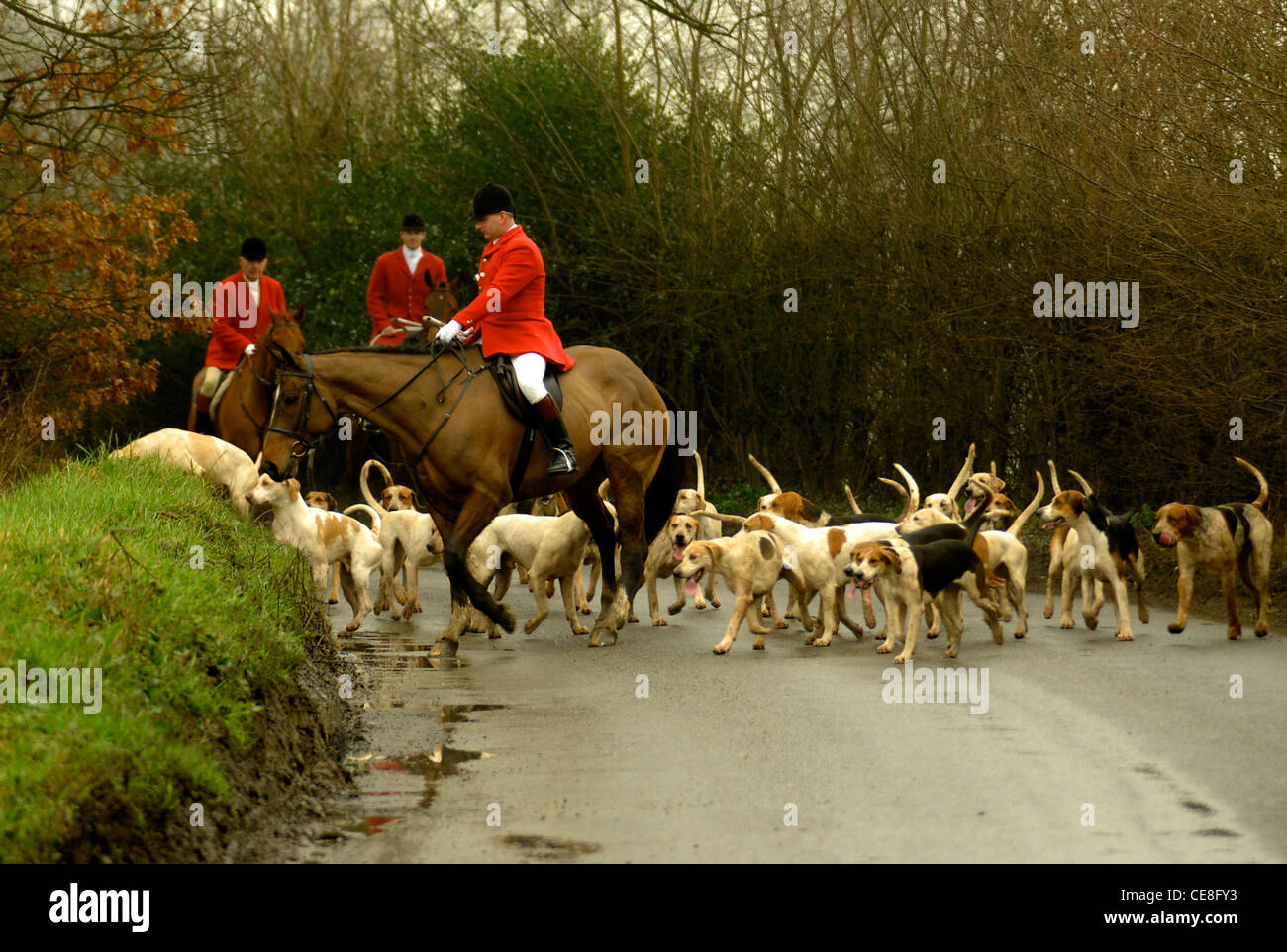Thornham Magna, Suffolk. Members of the Suffolk Hunt on a Drag Hunt ...