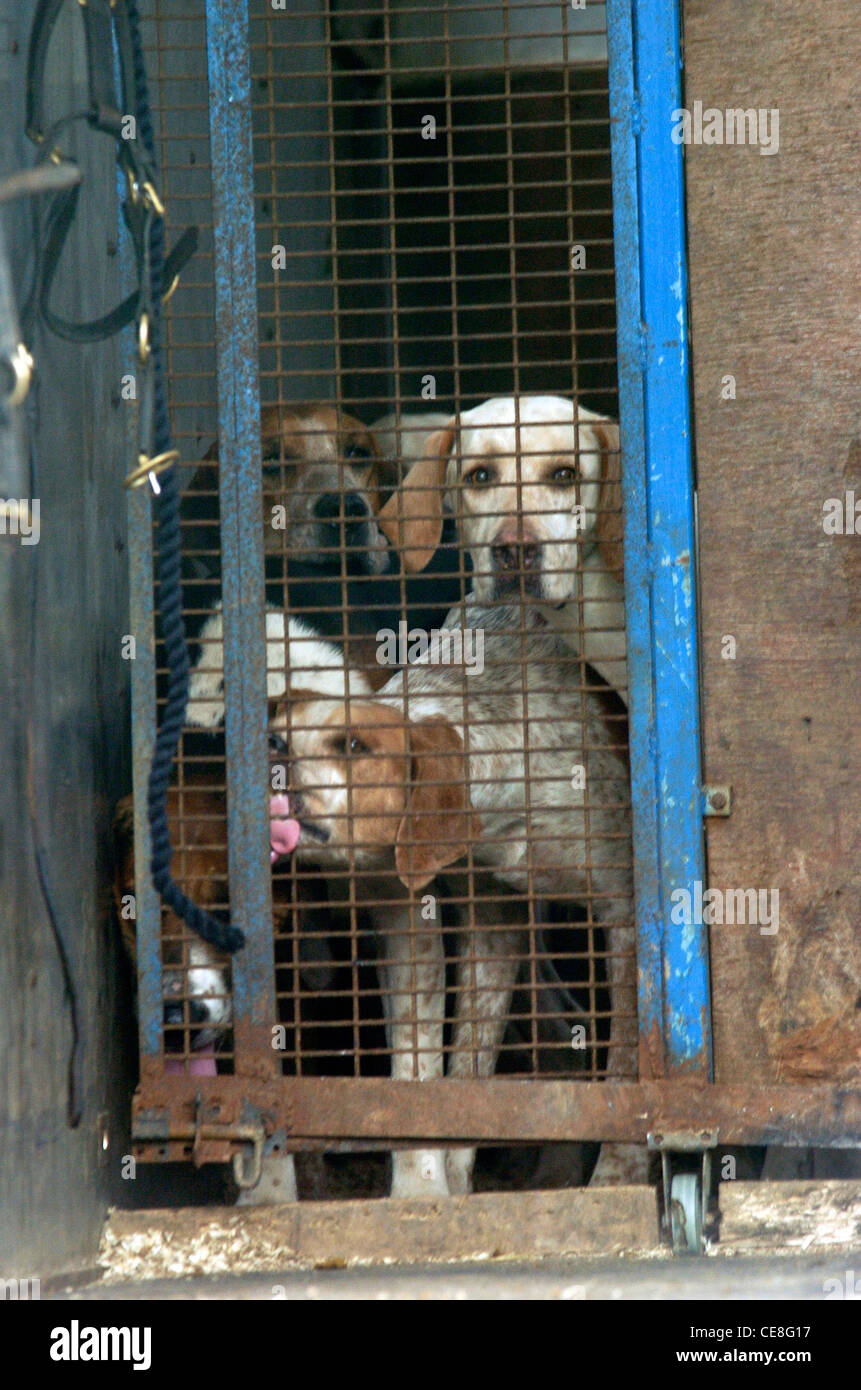 Thornham Magna, Suffolk. Members of the Suffolk Hunt on a Drag Hunt ...