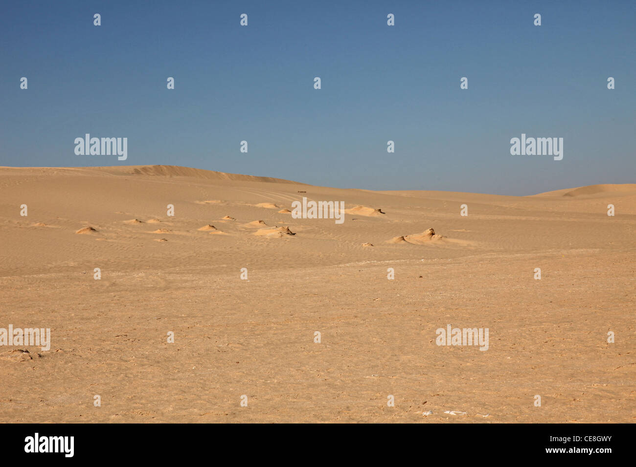Sahara desert safari hi-res stock photography and images - Alamy