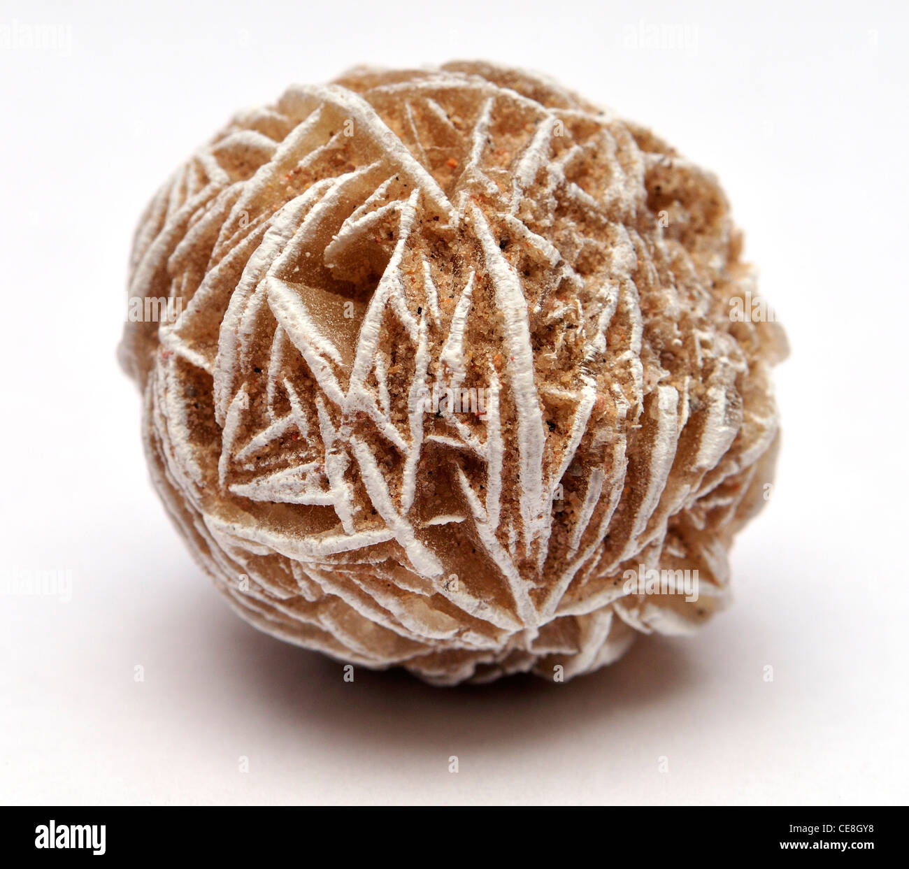 Baryte / Desert Rose Stock Photo - Alamy