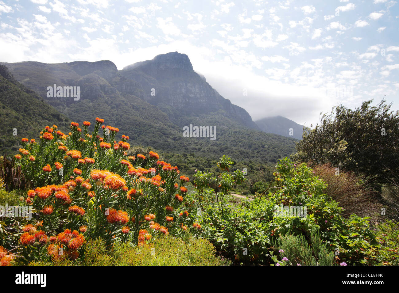 Cape town table mountain hi-res stock photography and images - Alamy