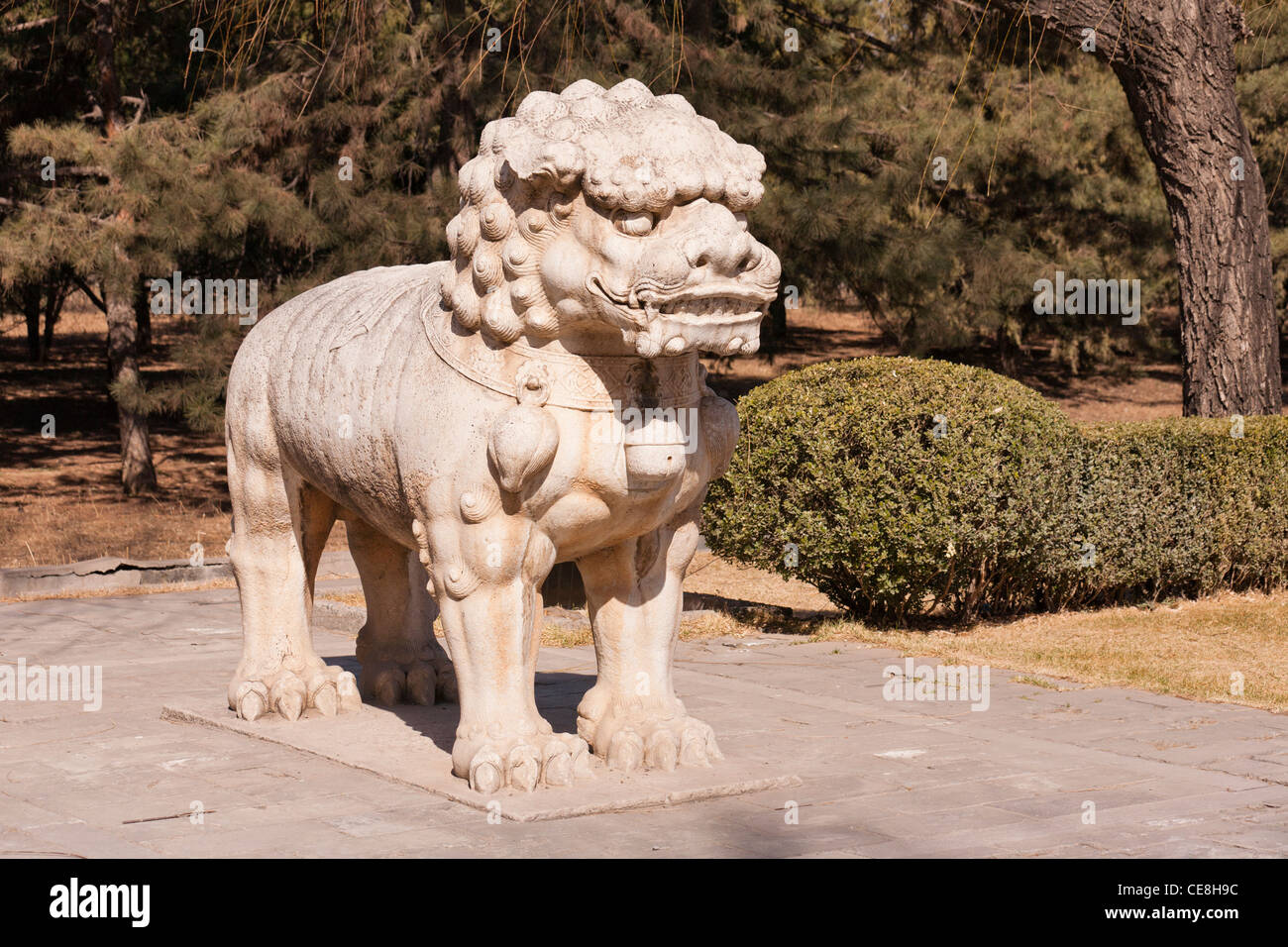 Lion Sculpture on the Sacred or Spirit Way leading to the Ming Tombs ...