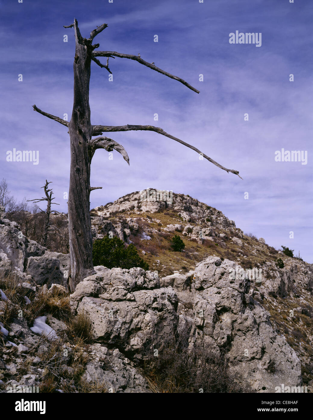 TEXAS - Rounded summit of 8749-foot Guadalupe Peak, highest point in ...