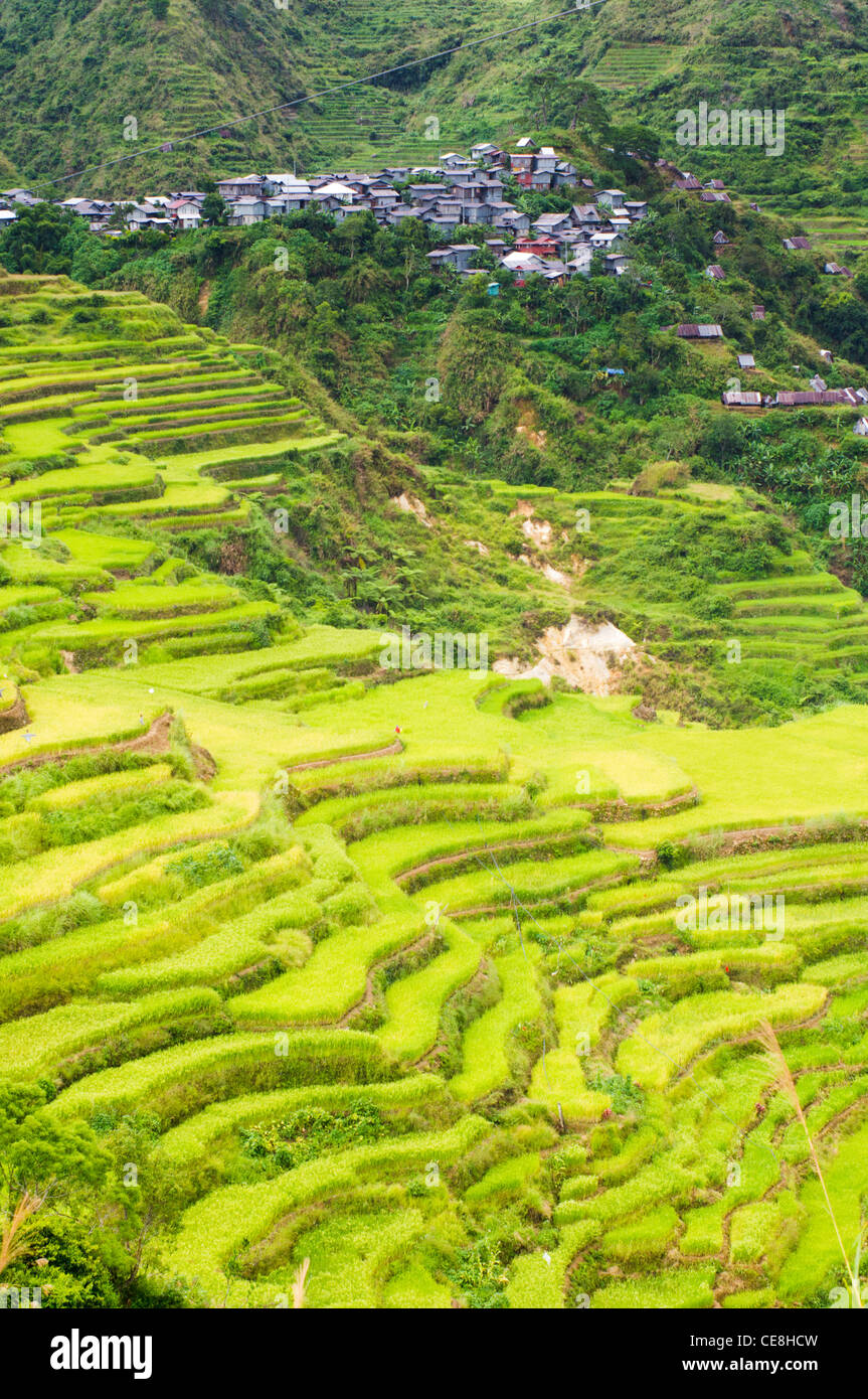 remote villages surrounds by rice terraces, philippines Stock Photo - Alamy