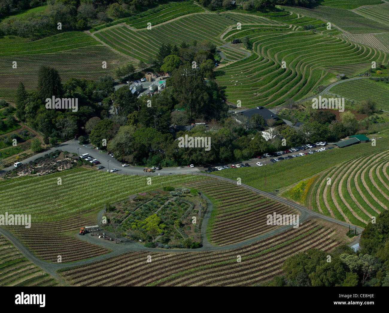 Benziger vineyards winery hi-res stock photography and images - Alamy