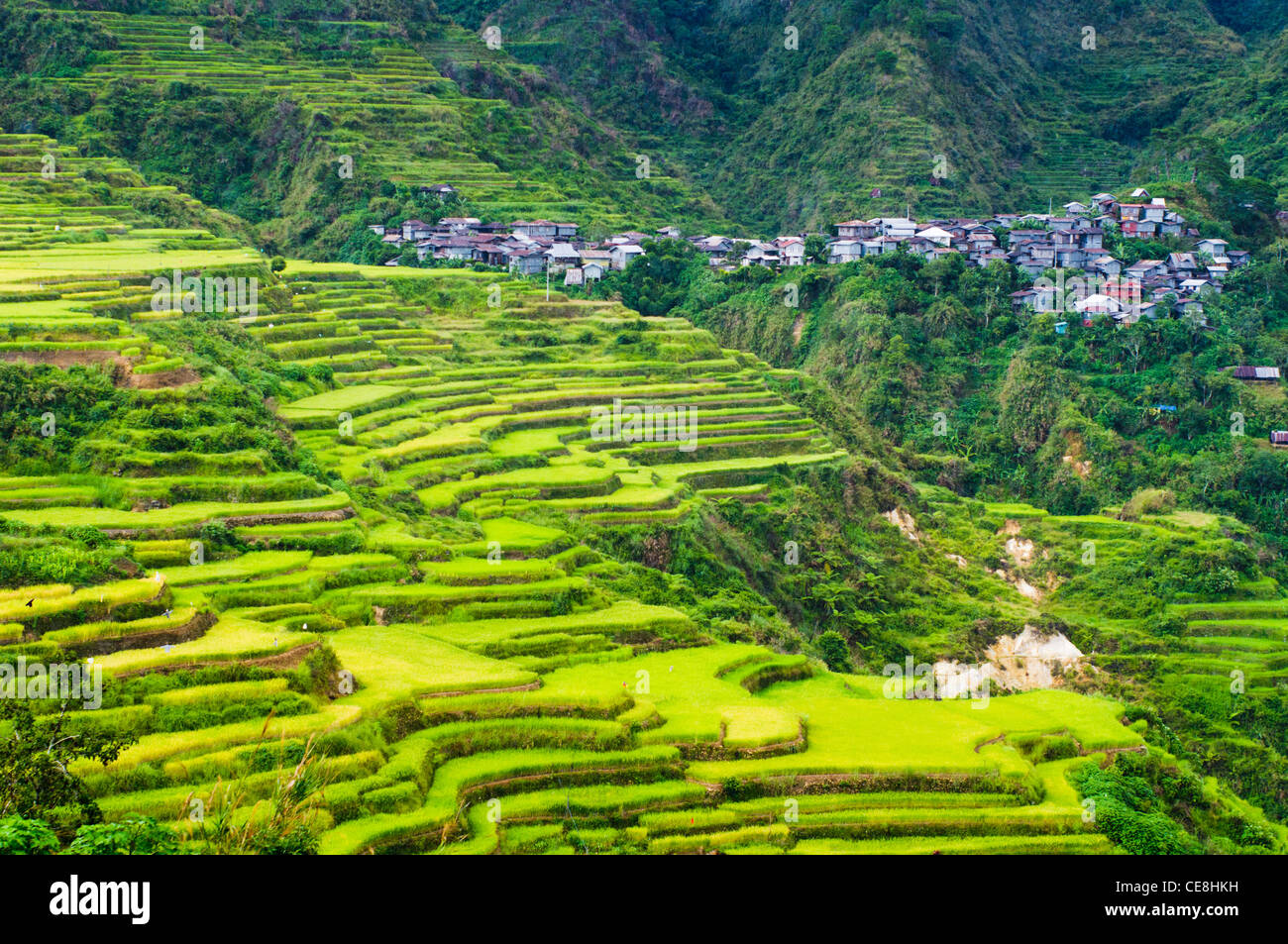 remote villages surrounds by rice terraces, philippines Stock Photo - Alamy