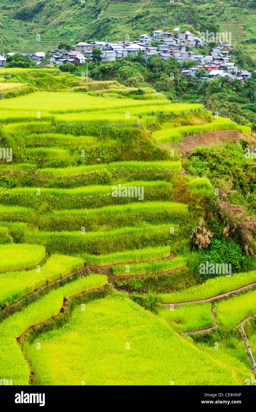 remote villages surrounds by rice terraces, philippines Stock Photo - Alamy
