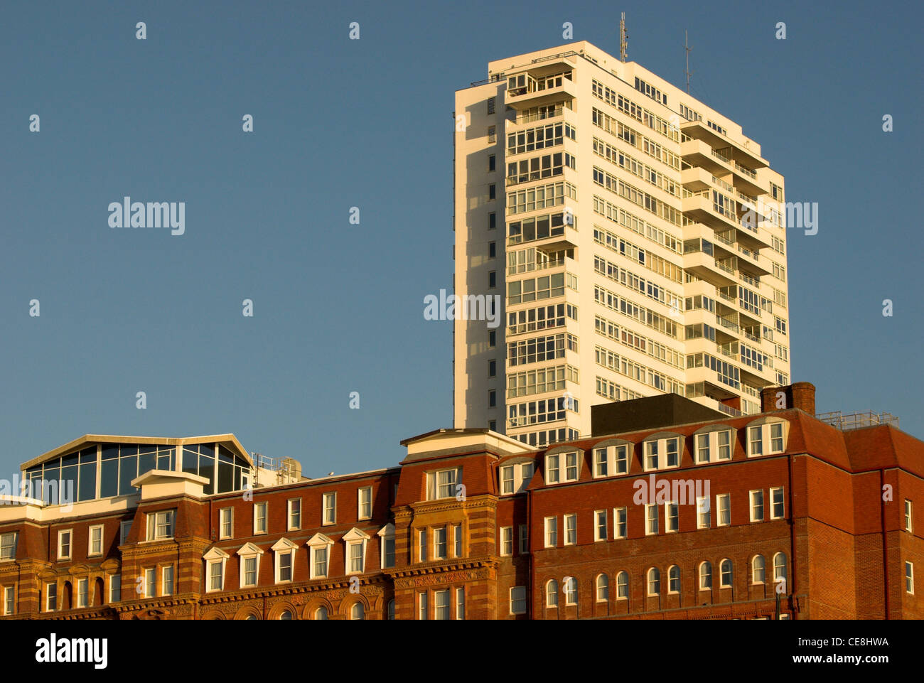 High rise building on Brighton seafront Stock Photo - Alamy