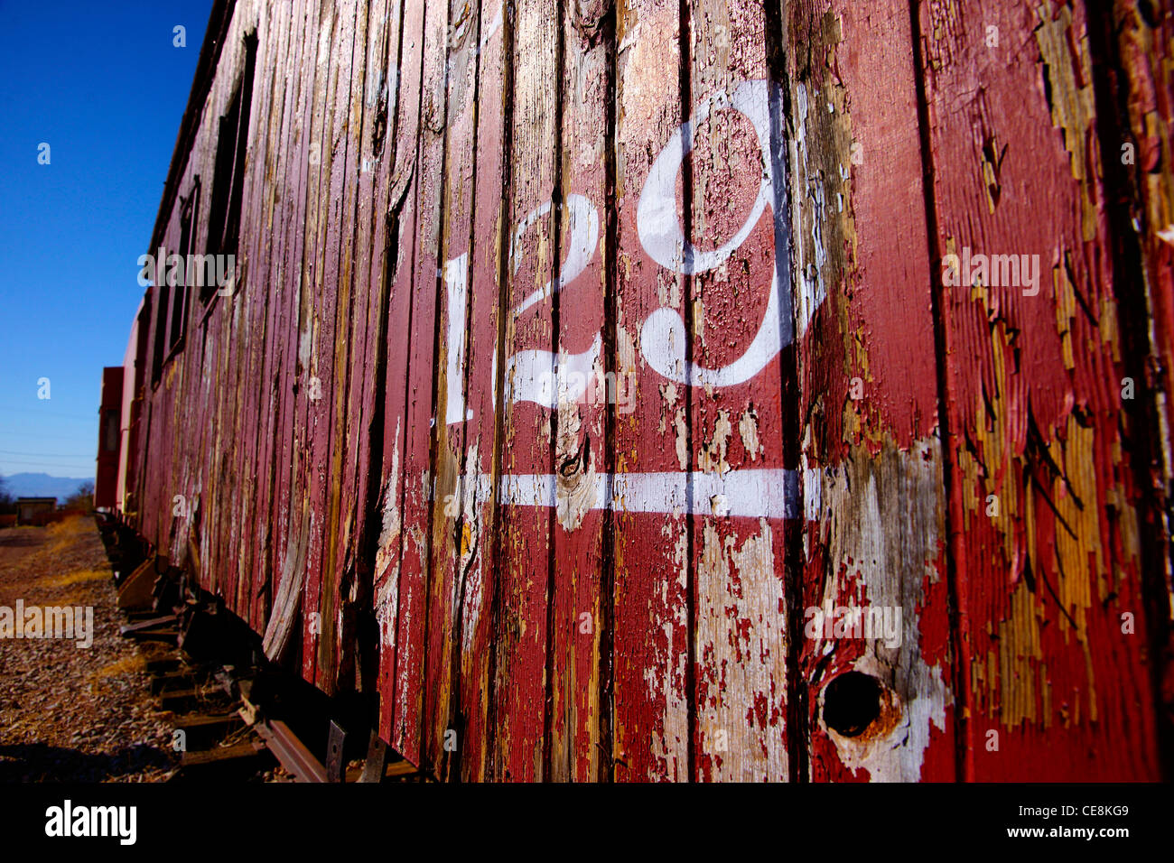 Tombstone coral hi-res stock photography and images - Alamy