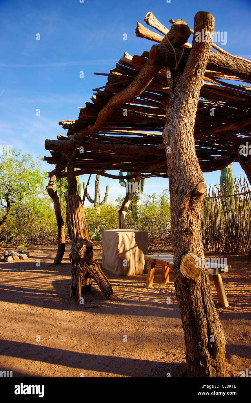Botanical Gardens, Phoenix. Beautiful park in Phoenix, best place to ...