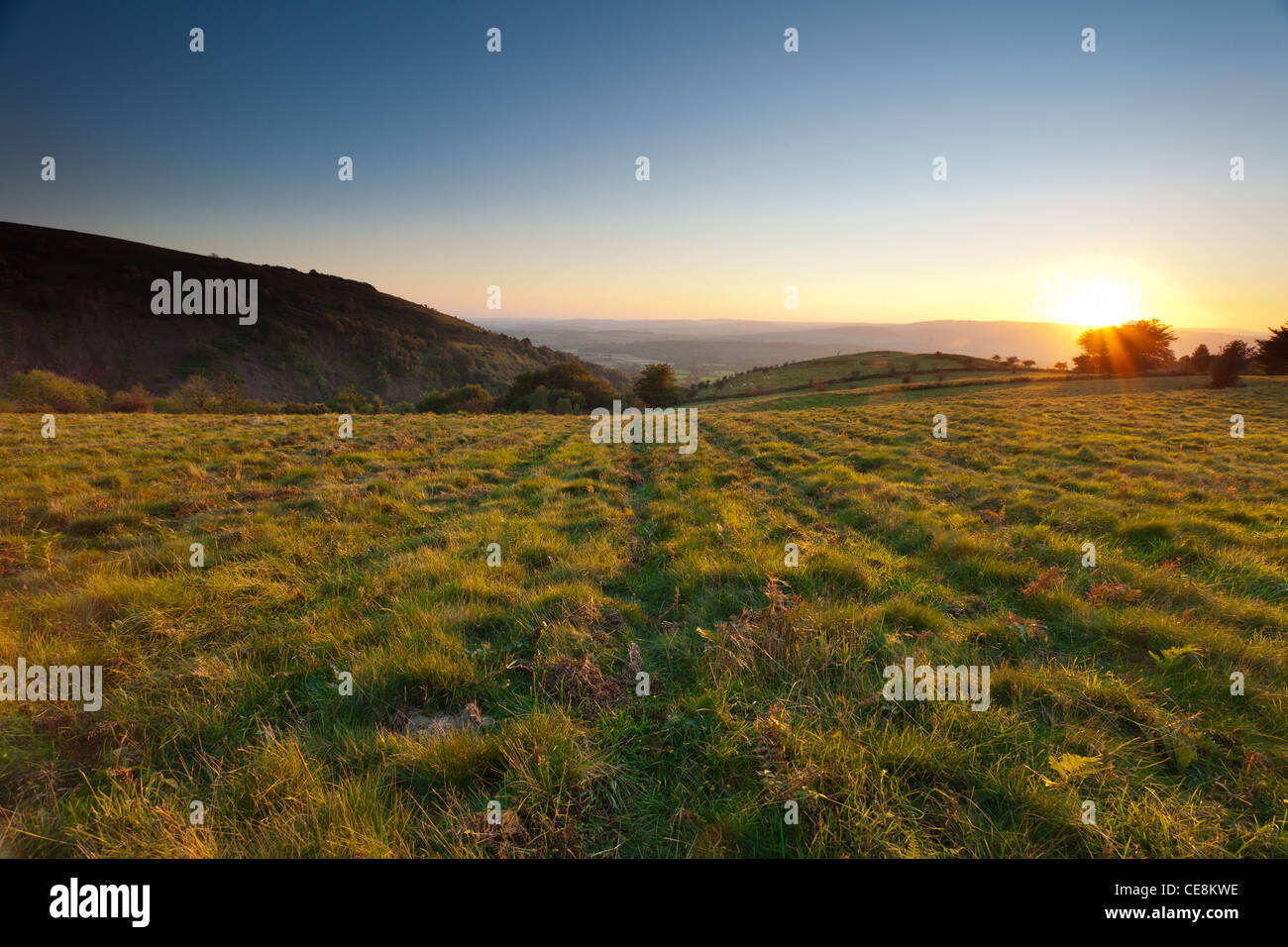 Quantock Stock Photos & Quantock Stock Images - Alamy