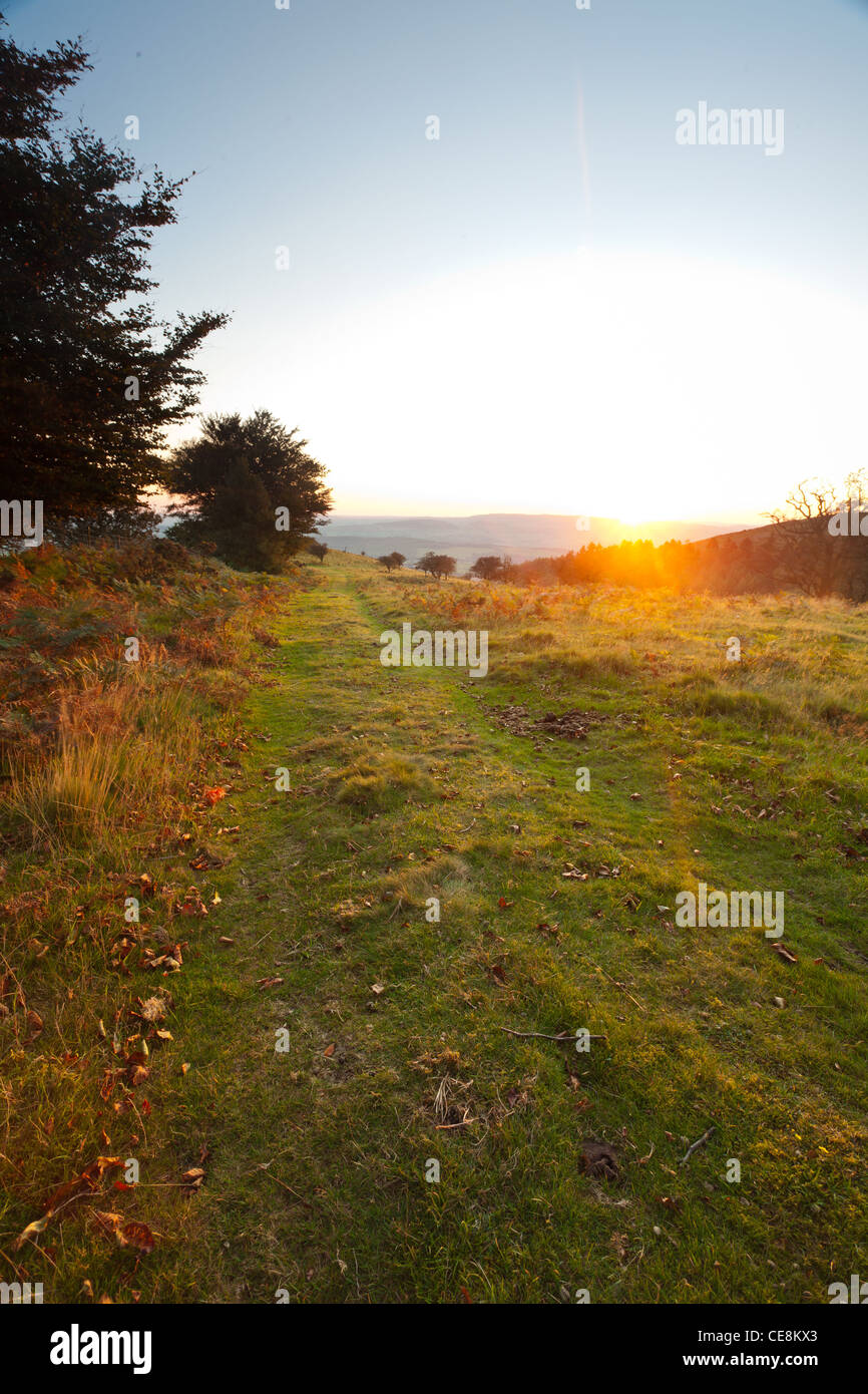 Quantocks hills hi-res stock photography and images - Alamy
