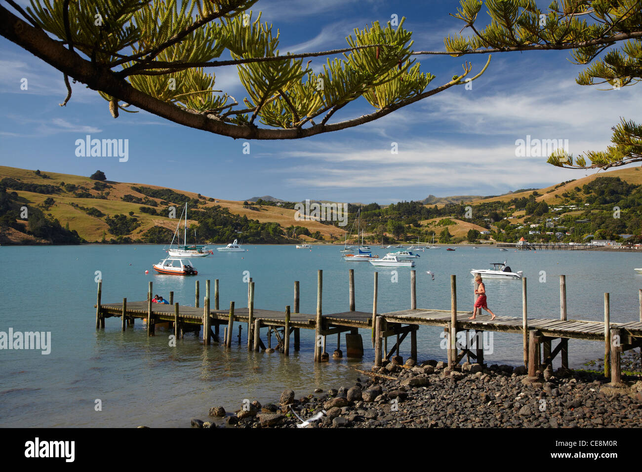 Jetty, Akaroa, Banks Peninsula, Canterbury, South Island, New Zealand ...