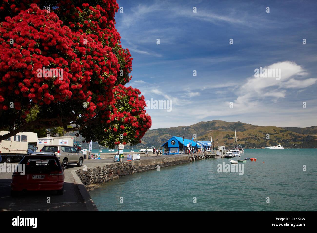 Akaroa wharf hi-res stock photography and images - Alamy