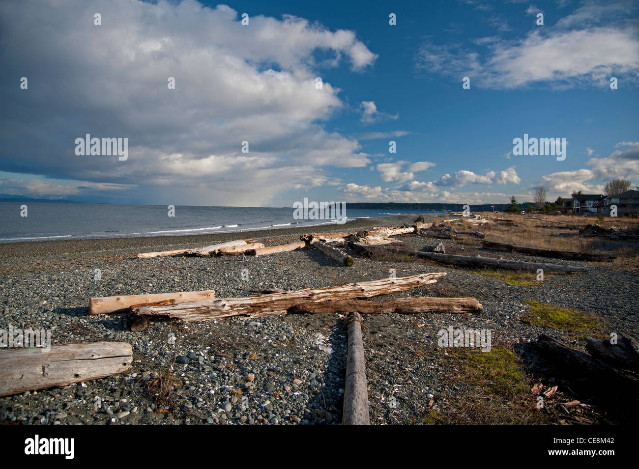 A lost resource felled timber washed ashore on Vancouver Island British ...