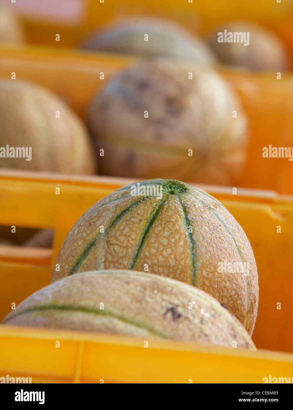 Rock melon hi-res stock photography and images - Alamy