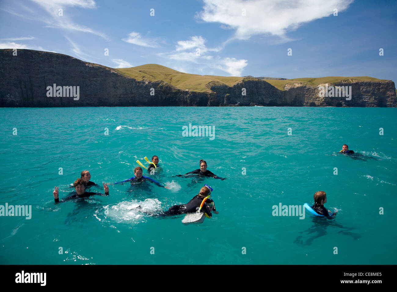 Swimming with dolphins tour, Akaroa Harbour, Banks Peninsula ...