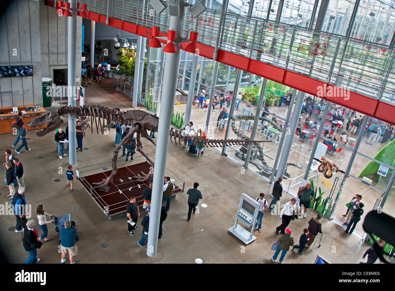 California academy of sciences hi-res stock photography and images - Alamy