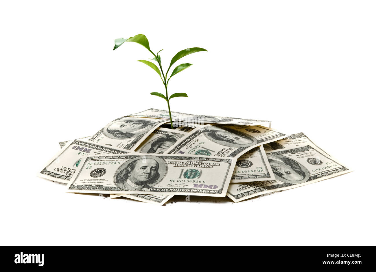 Money tree in business Cut Out Stock Images & Pictures - Alamy
