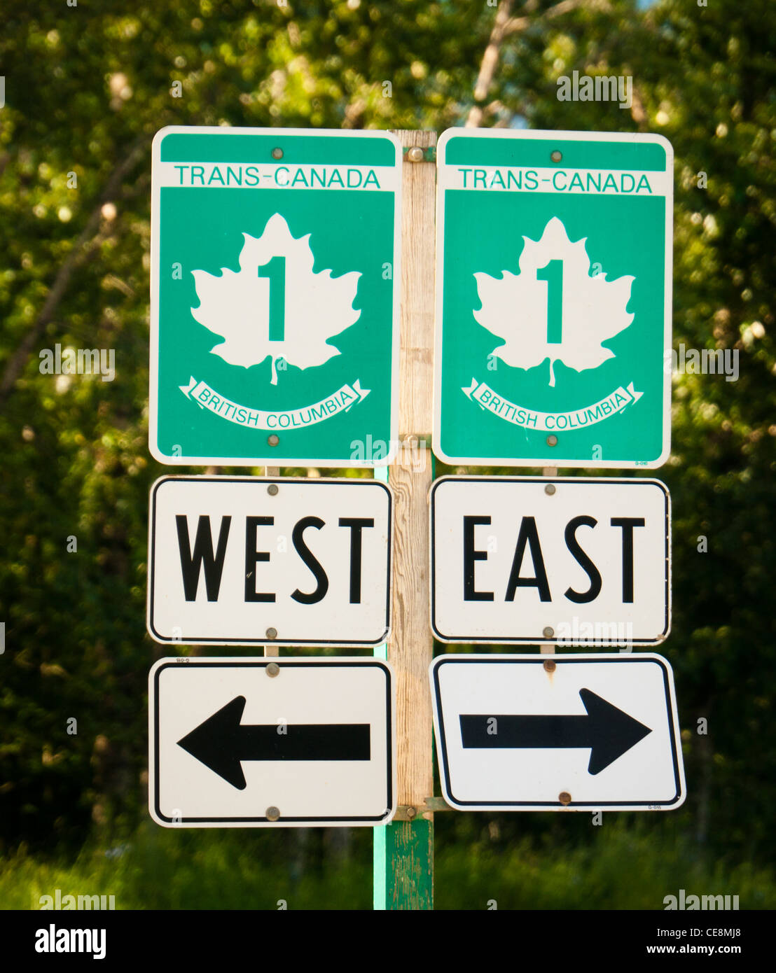 Trans Canada Highway 1 sign in British Columbia Canada Stock Photo - Alamy