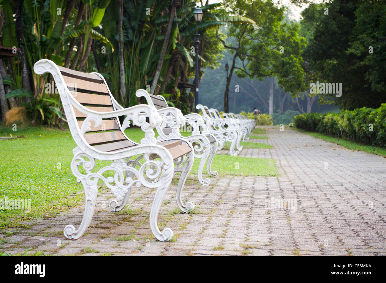 Empty bench in a park, nobody is around as time passing Stock Photo - Alamy