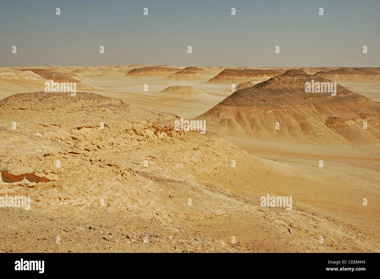 NORTH AFRICA, EGYPT, Siwa Oasis, Qattara Depression, desert scene with ...