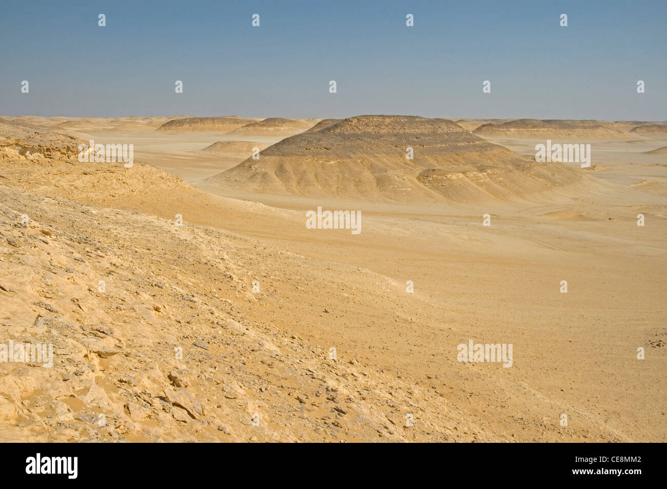 NORTH AFRICA, EGYPT, Siwa Oasis, Qattara Depression, desert scene with ...