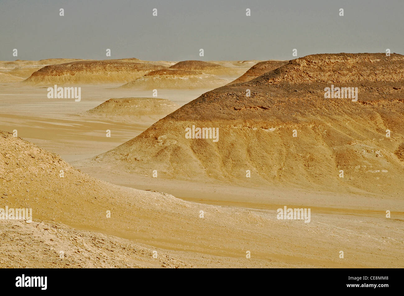 NORTH AFRICA, EGYPT, Siwa Oasis, Qattara Depression, desert scene with ...