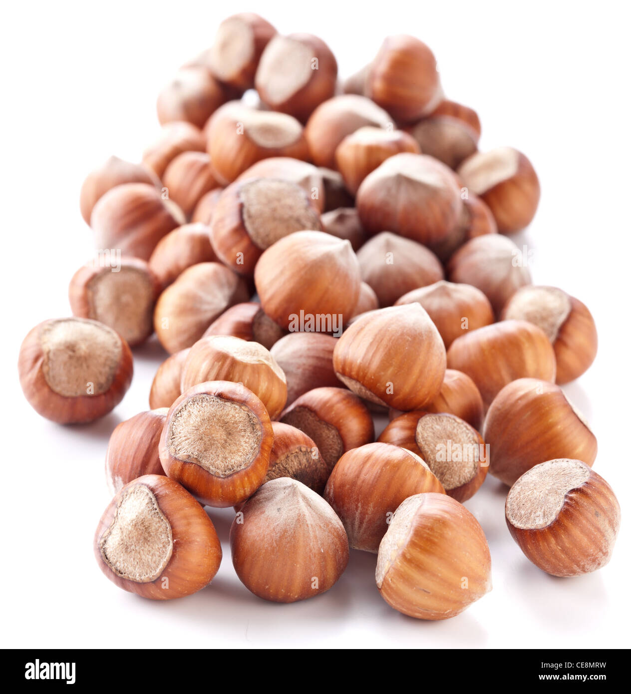 Nuts filberts isolated on white background Stock Photo - Alamy