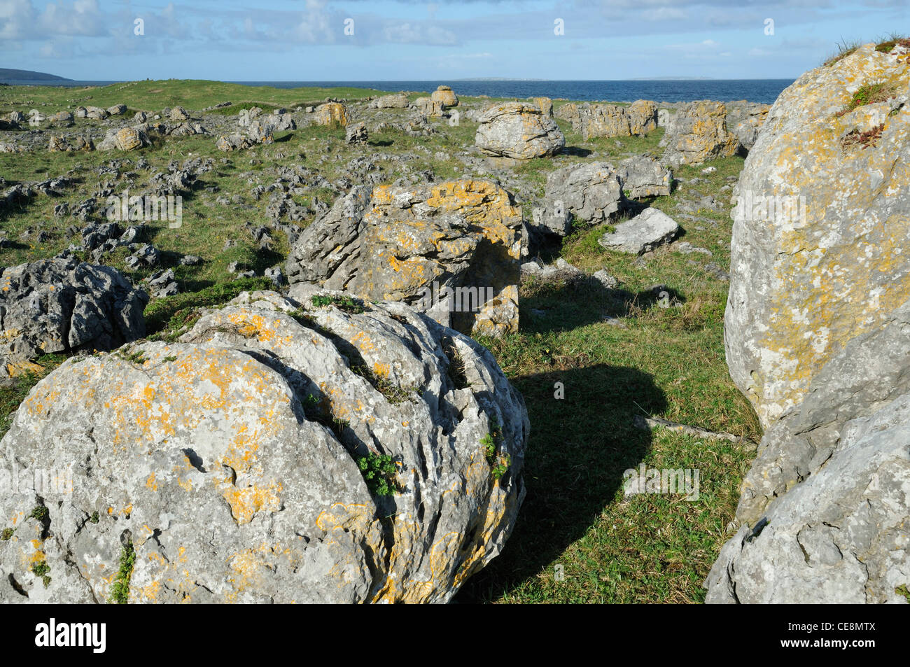 Limestone Glacial Erratic Boulder Field, Fanore, The Burren, Co. Clare ...