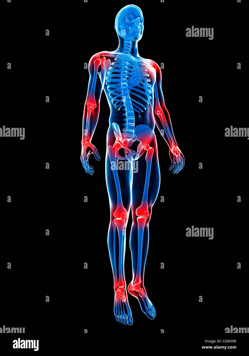 Paired points hi-res stock photography and images - Alamy