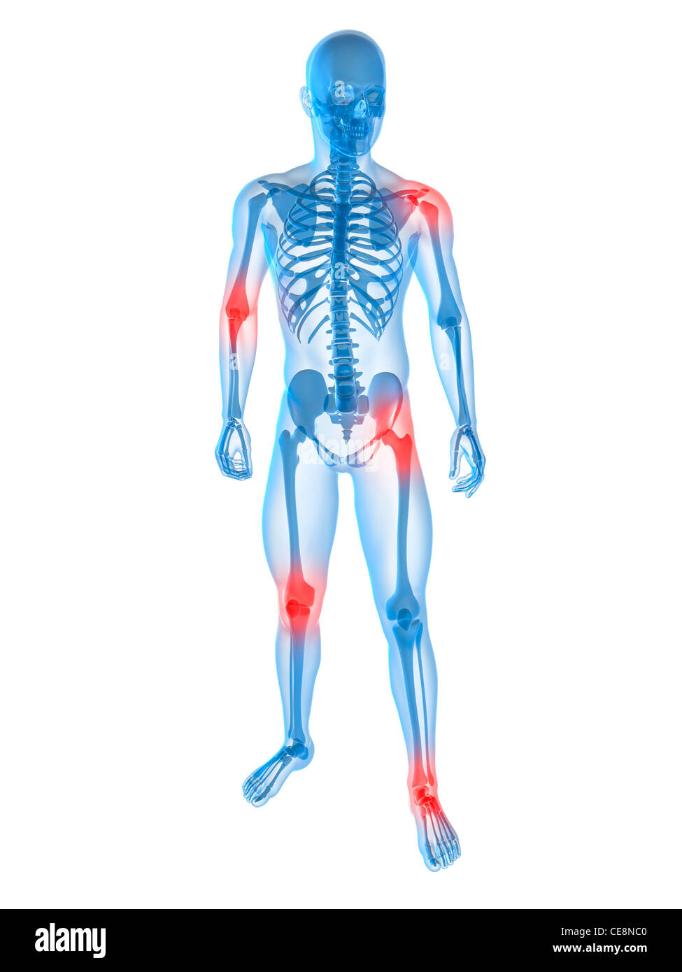 Movements of knee joint Cut Out Stock Images & Pictures - Alamy