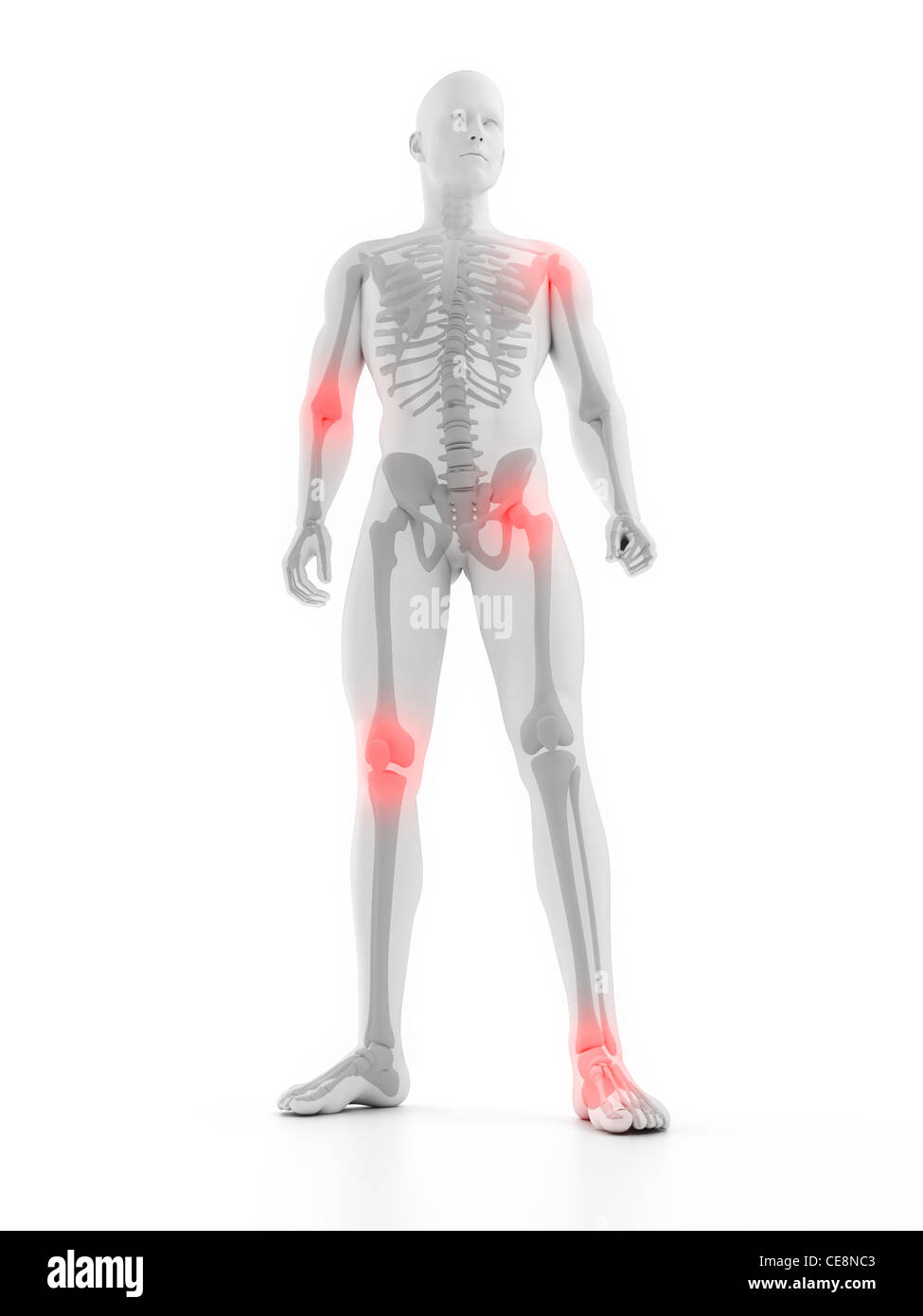 Movements of shoulder joint hi-res stock photography and images - Alamy