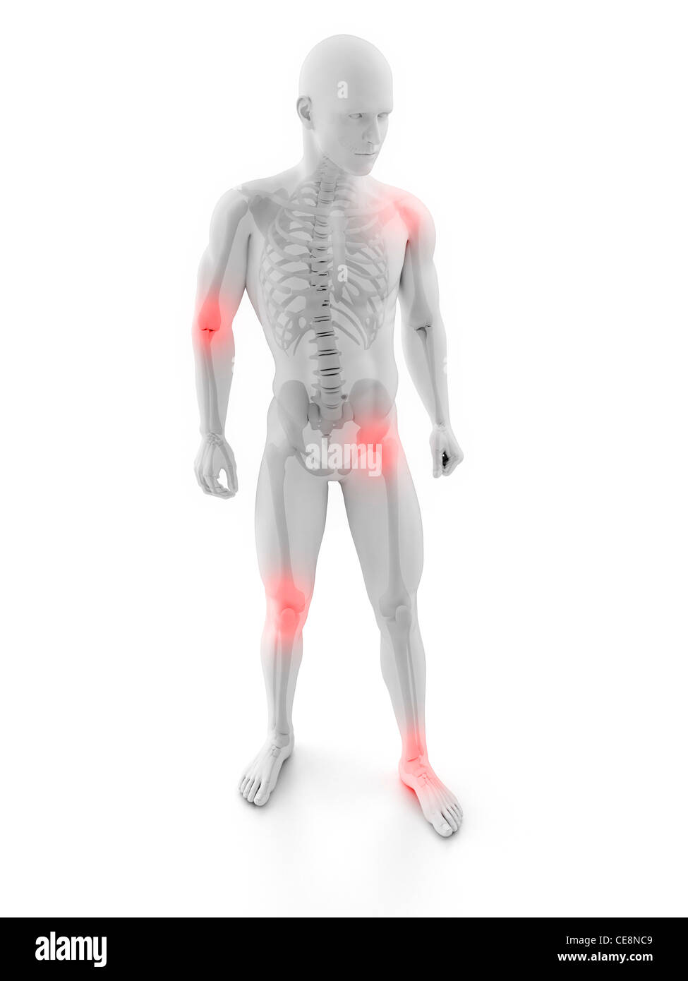 Movements of shoulder joint hi-res stock photography and images - Alamy