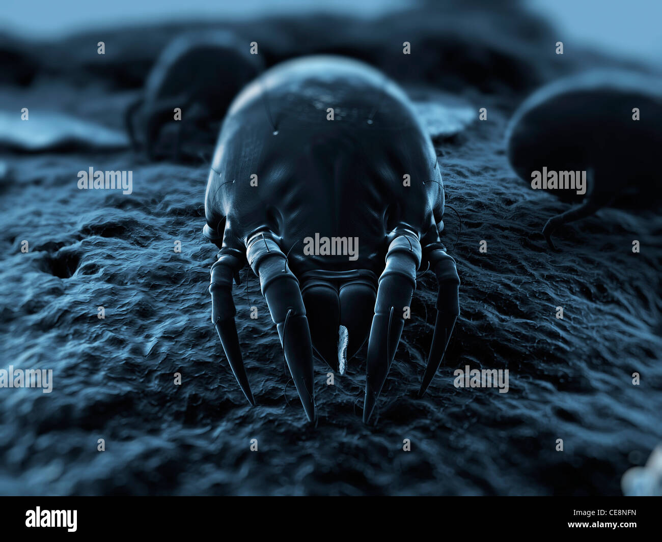 Magnification1 hi-res stock photography and images - Alamy